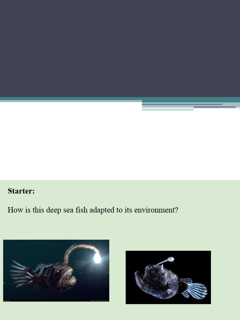 Lesson 3 - Theories of Evolution 1 2 | PDF | Evolution | Charles Darwin