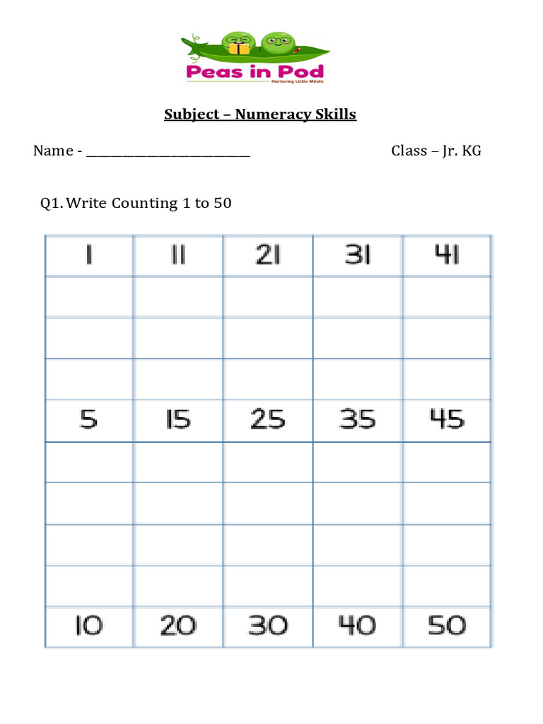 JR - KG Numeracy Skills Worksheet | PDF