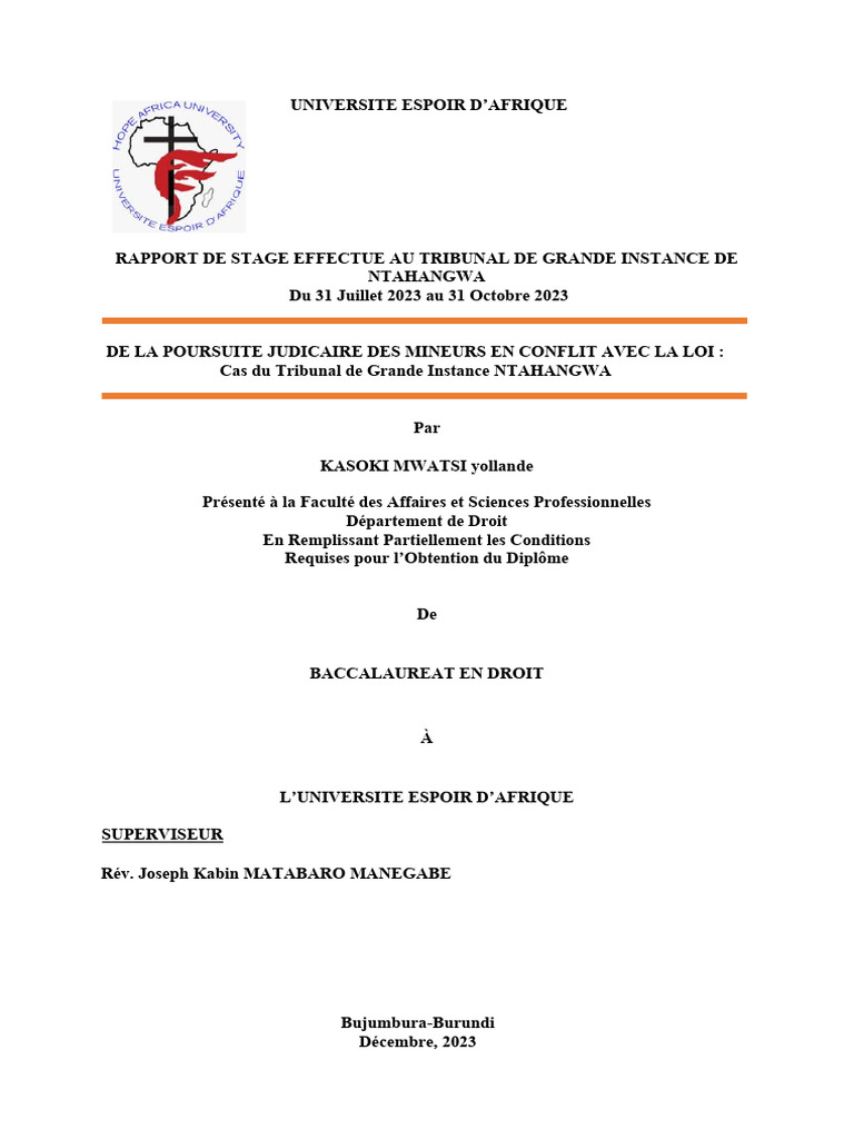 Rapport Yollande - Copie | PDF