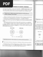 Nosiniu Raidziu Rasyba | PDF