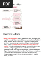 Nosiniu Raidziu Rasyba | PDF