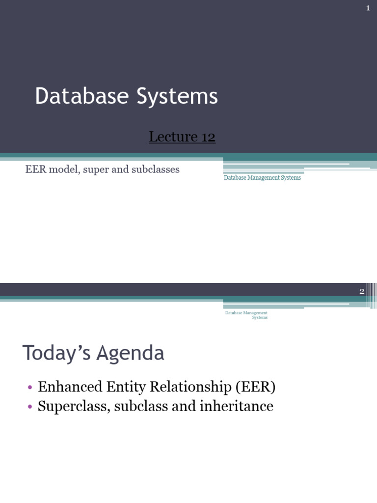 Eer Model Super And Subclasses Download Free Pdf Inheritance Object Oriented Programming