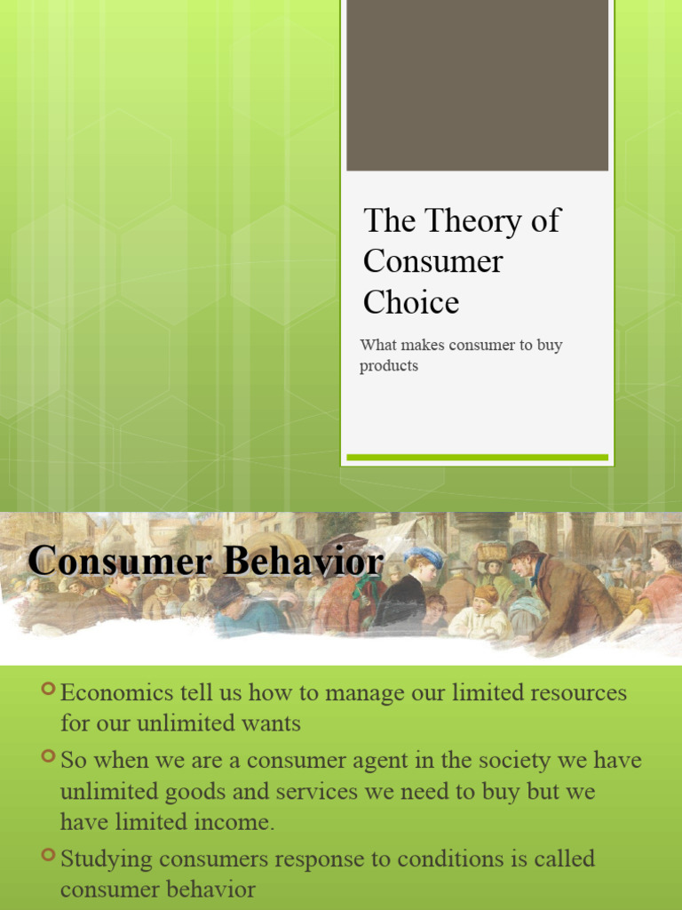 Consumer Behaviour | PDF