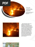 Black Saturday Bushfires: Causes & Impact | PDF | Wildfire | Hazards
