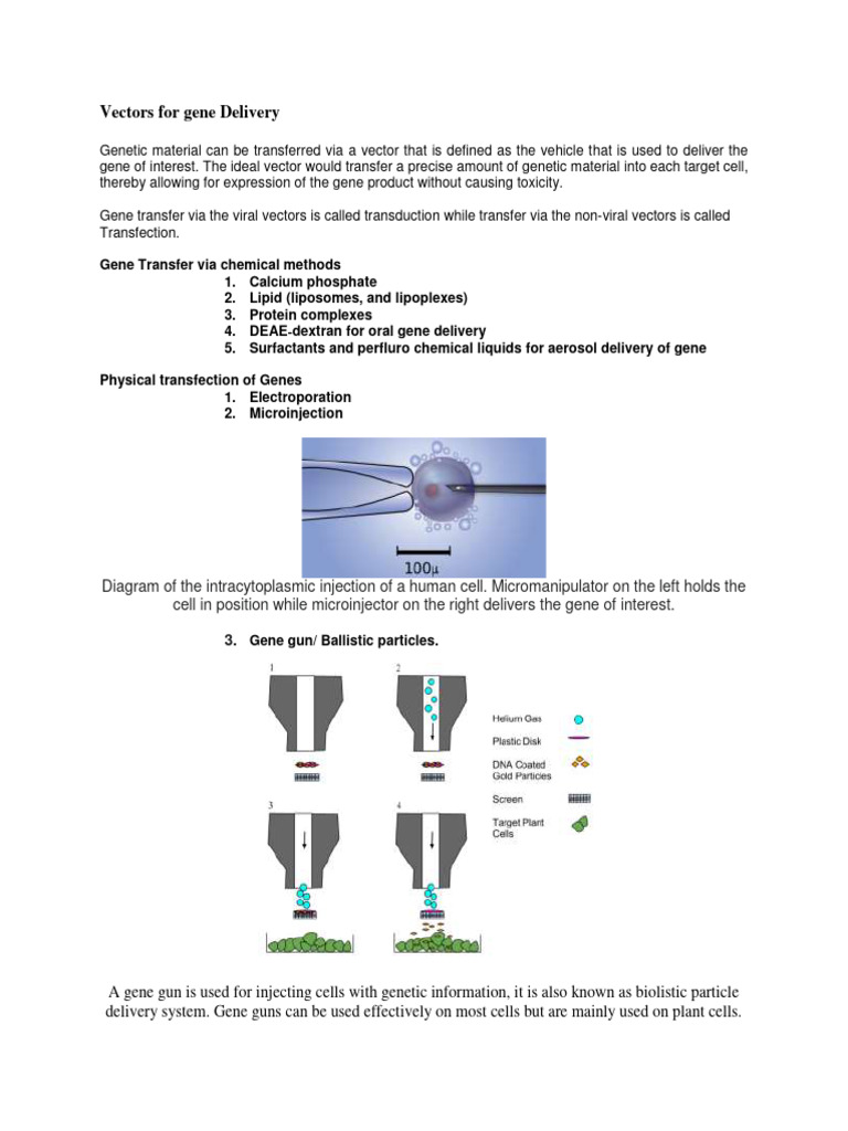 Vectors For Gene Delivery | PDF | Viral Vector | Virus