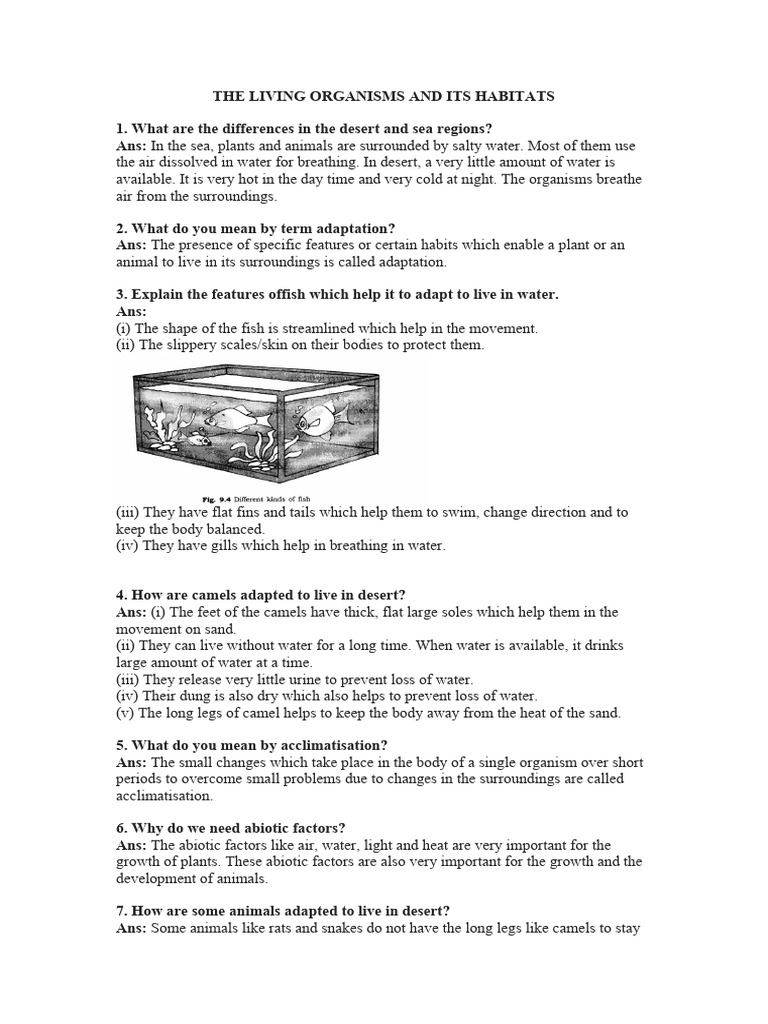 The Living Organisms and Its Habitats Extra Questions | PDF | Leaf | Desert