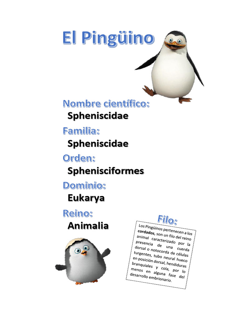 El Pingüino Información | PDF | Pingüino | Organismos
