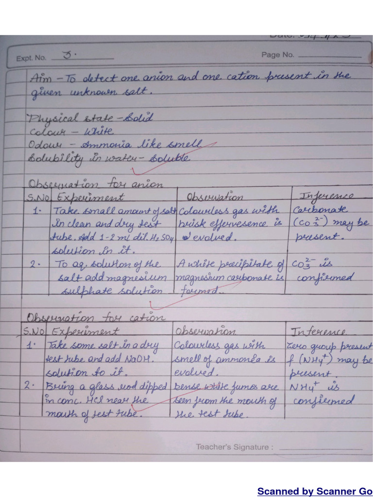 Chemistry Practical | PDF