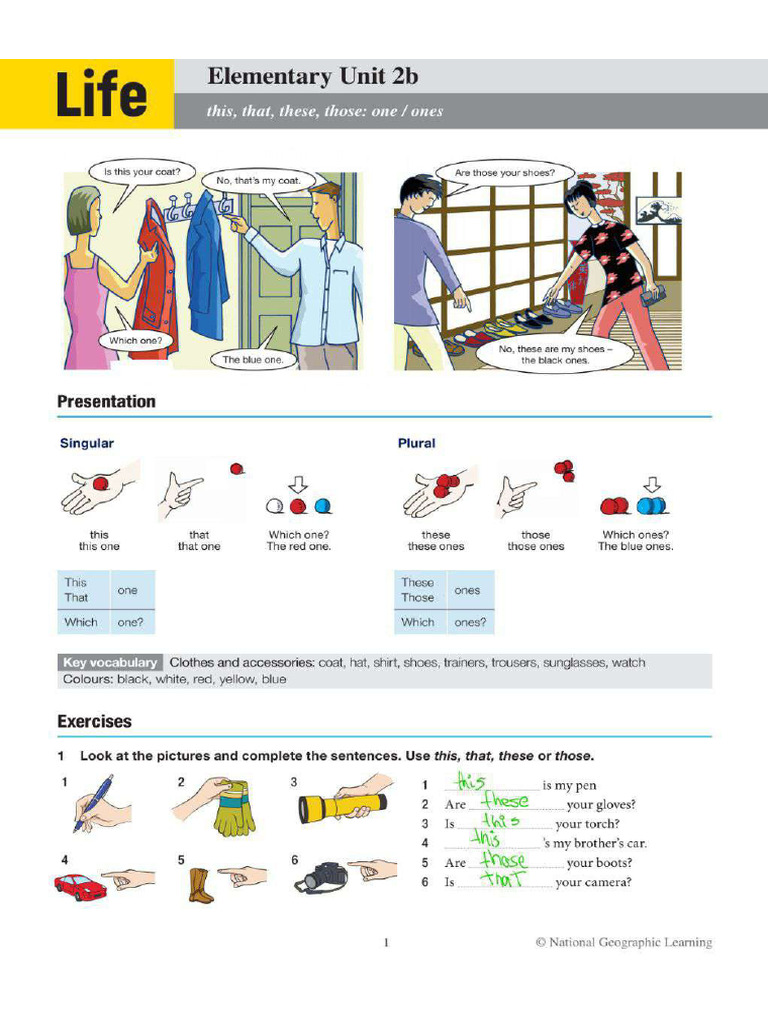Homework-That, This There, Those | PDF