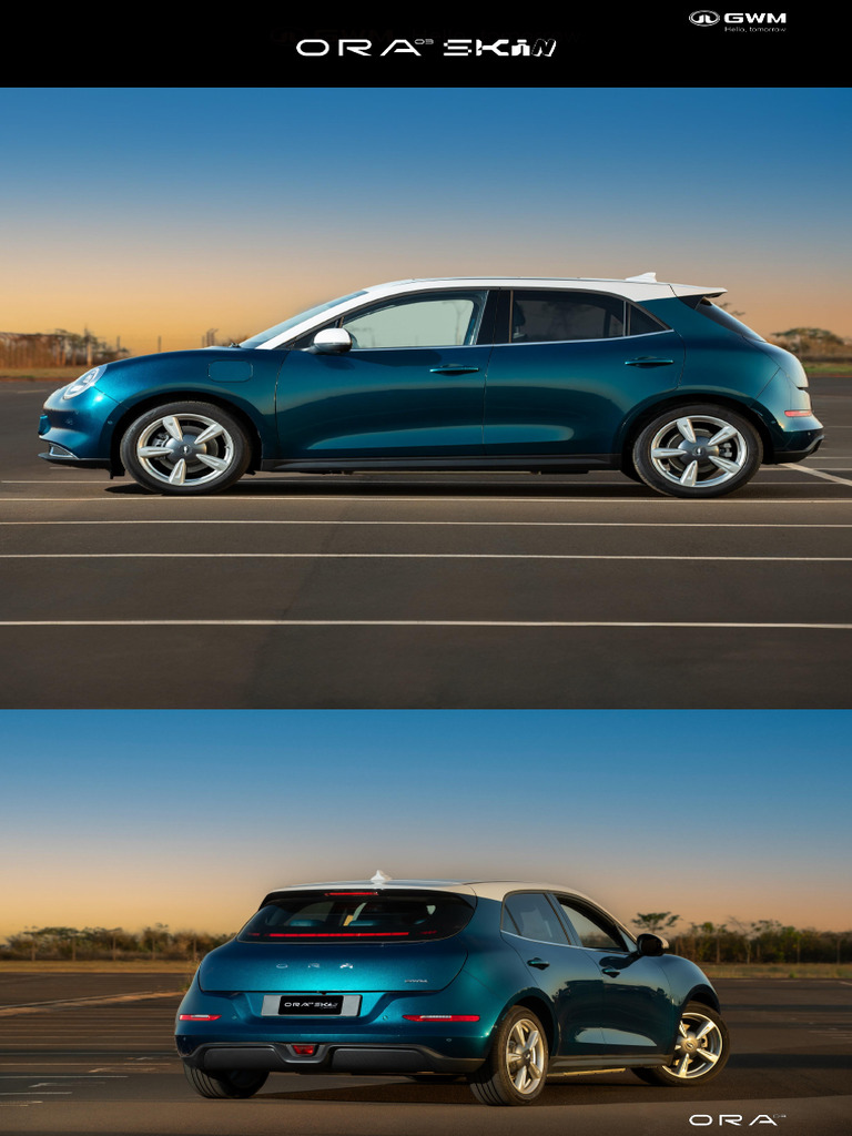 Ficha Tecnica GWM Ora 03 Skin 2024 | PDF