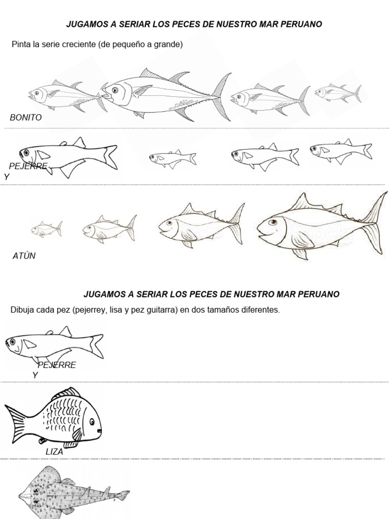 HOJAS DE APLICACIÓN SOBRE SERIACIÓN DE PECES DEL MAR PERUANO (4) | PDF