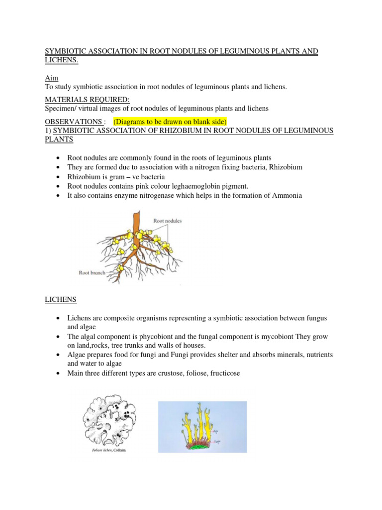 Expt 13-Symbiotic Association in Root Nodules of Leguminous Plants and ...