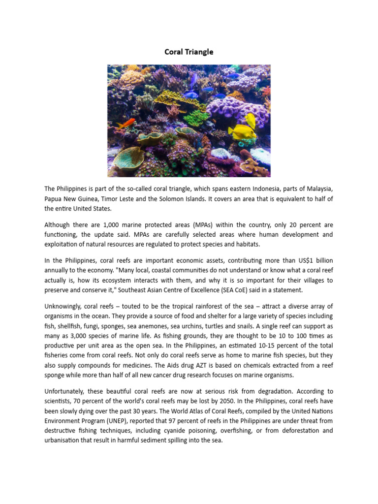 Reading Worksheet | PDF | Coral Reef | Hydrology