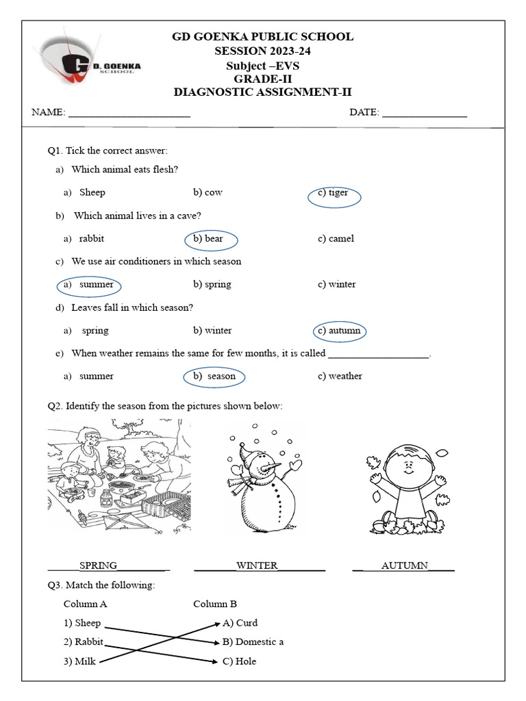 Grade 2 Diagnostic Assignment-II Answer Key | PDF