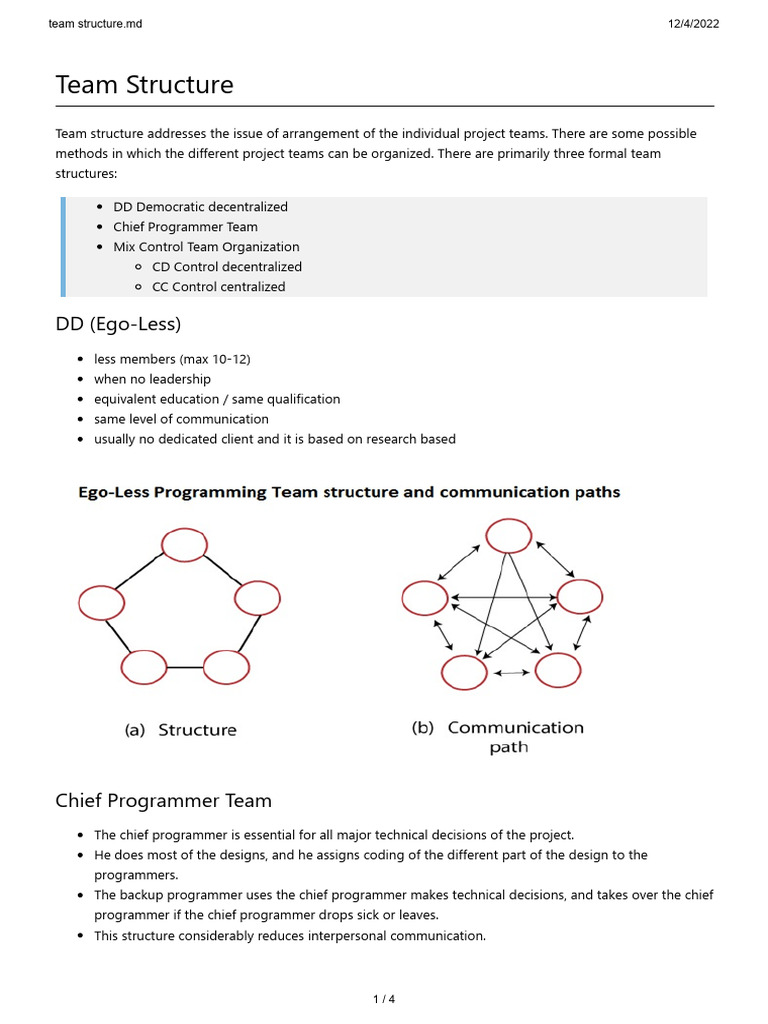 Team Structure | PDF | Decentralization | Leadership