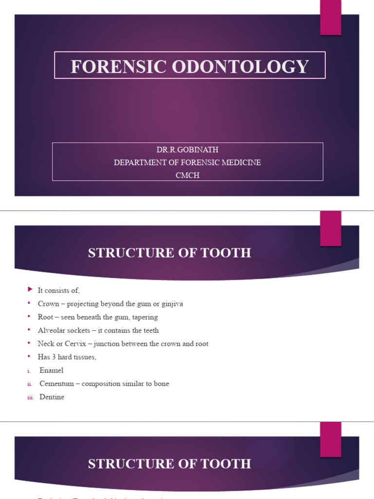Forensic Odontology | PDF | Dental Anatomy | Human Tooth