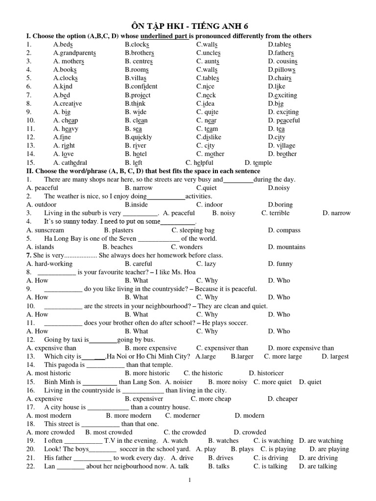 English 6 Midterm Review Exercises | PDF