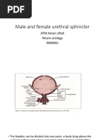 Tabel Kode Ina CBG | PDF | Medical Specialties | Diseases And Disorders