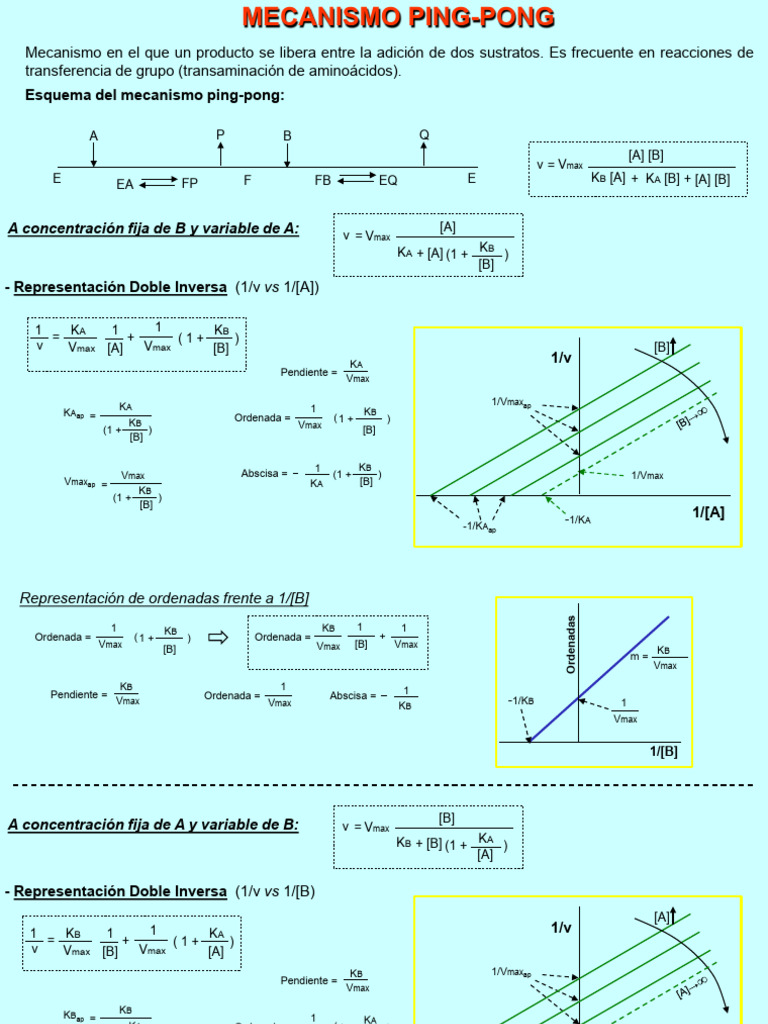 Mecanismo Ping Pong | PDF