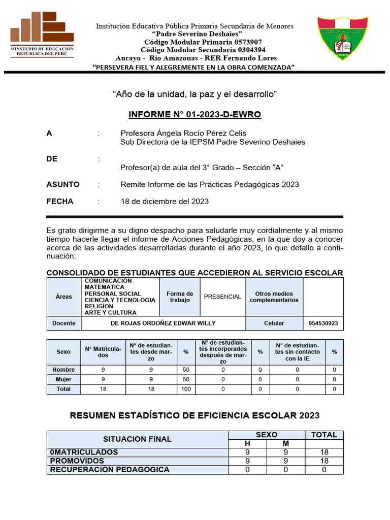 INFORME DE FIN DE AÑO ACCIONES PEDAGÓGICAS 2023 | PDF