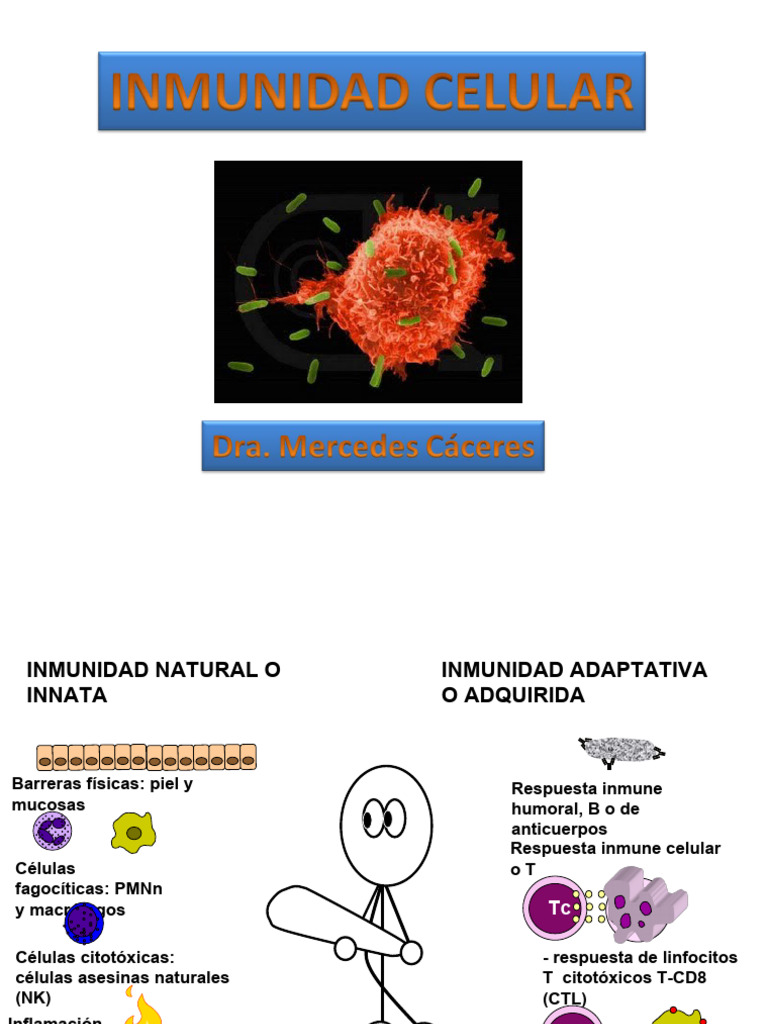 10-Inmunidad Celular 2011 | PDF | Sistema inmune | Célula T
