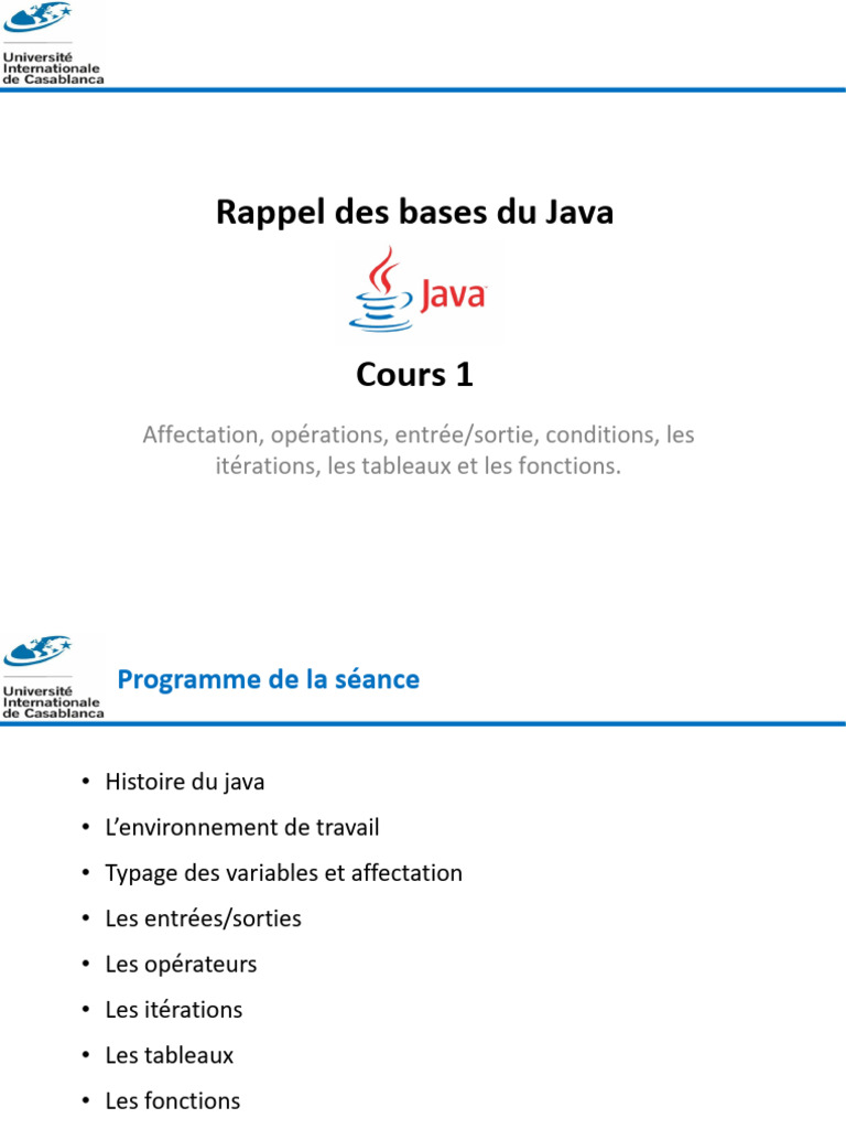 Cours1 - Les Bases Du Java | PDF