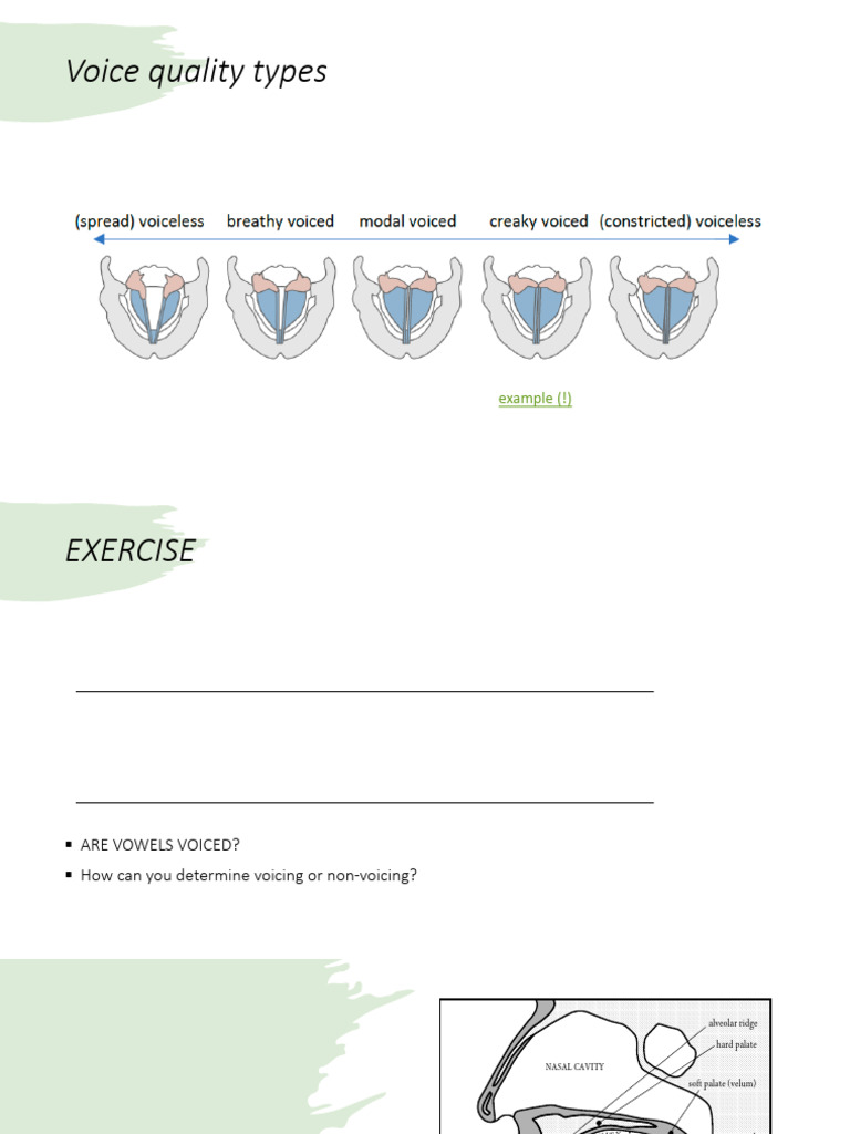 5 - Levels of Linguistic Analysis | PDF | Consonant | Phonetics