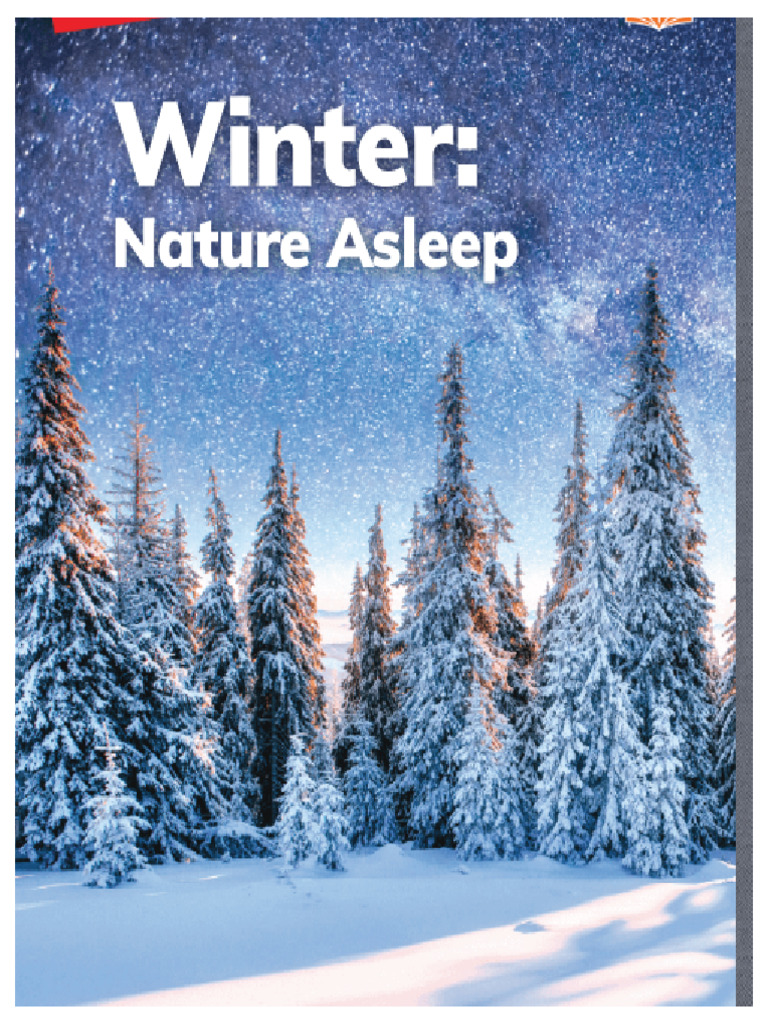 Winter | PDF
