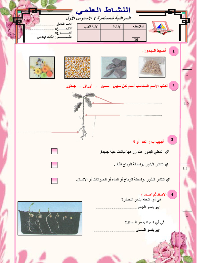 Devoir 5 Palier 1 Anachat Alilmi 1trim 3aep | PDF