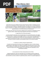 Plan Maroc Vert : Enjeux et Perspectives | PDF | Maroc | Agriculture