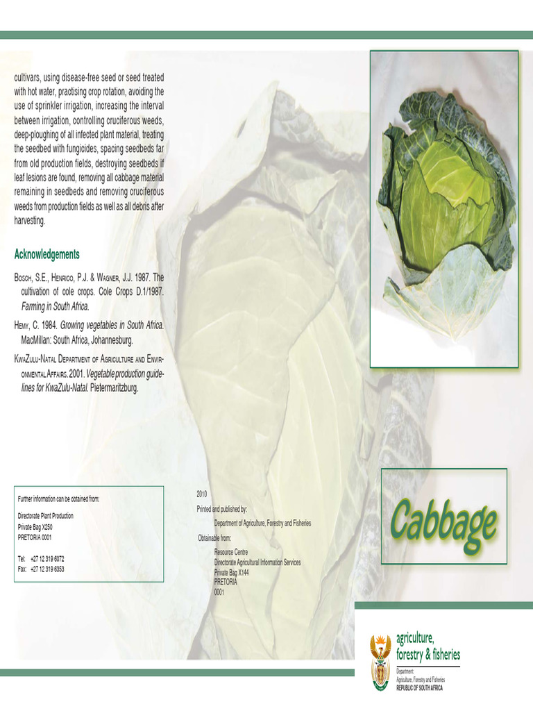 Brochure Cabbage | PDF | Cabbage | Soil
