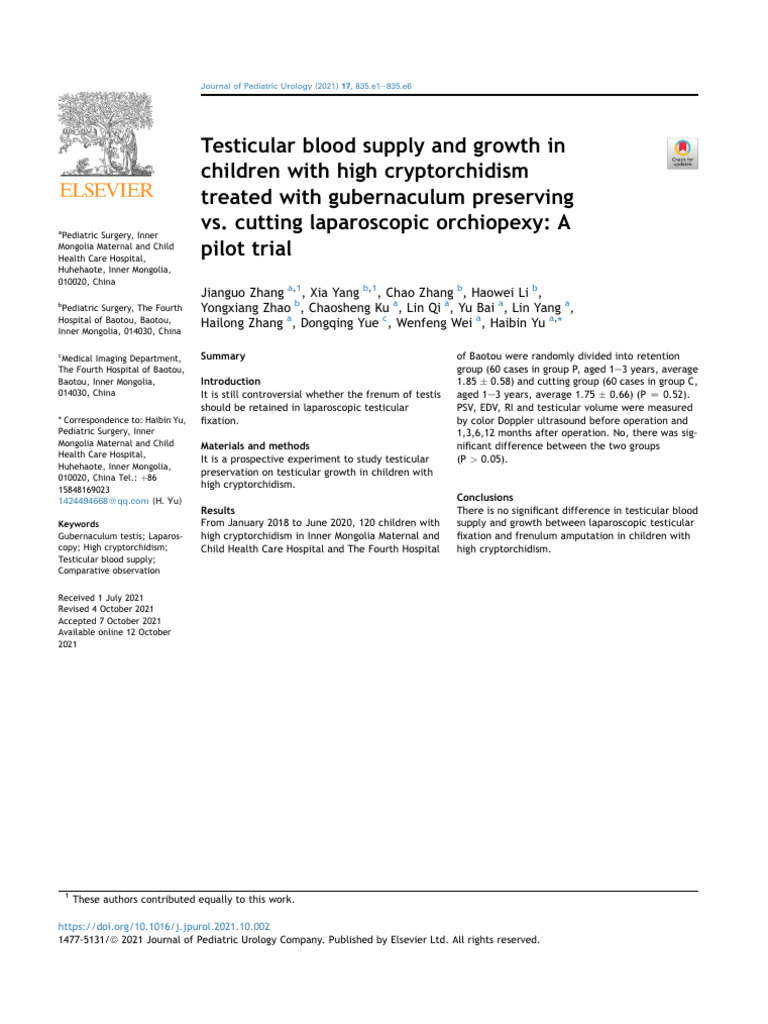 Testicular Blood | PDF | Testicle | Medical Specialties