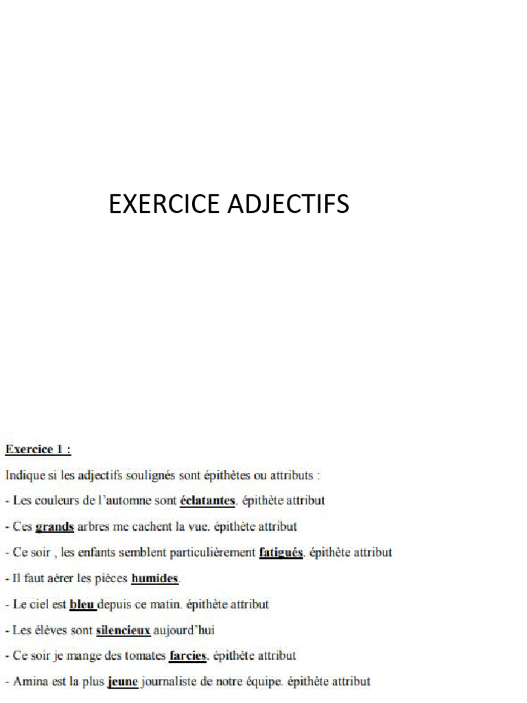 Exercice - Les Adjectifs | PDF