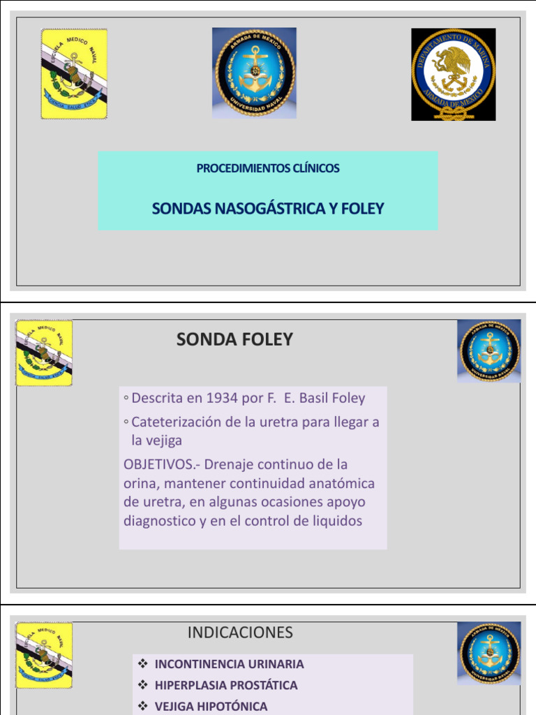 Sondas Foley y SNG 2 | PDF | Sistema genitourinario | Medicina