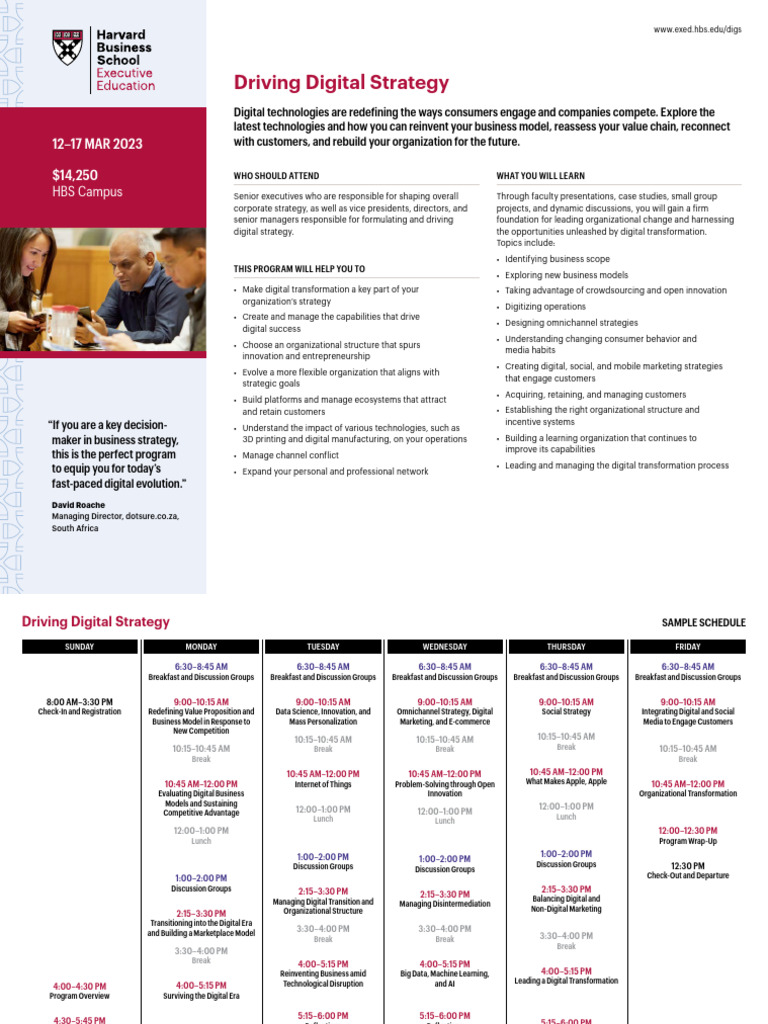 Driving Digital Strategy Brochure | PDF | Strategic Management | Digital Marketing