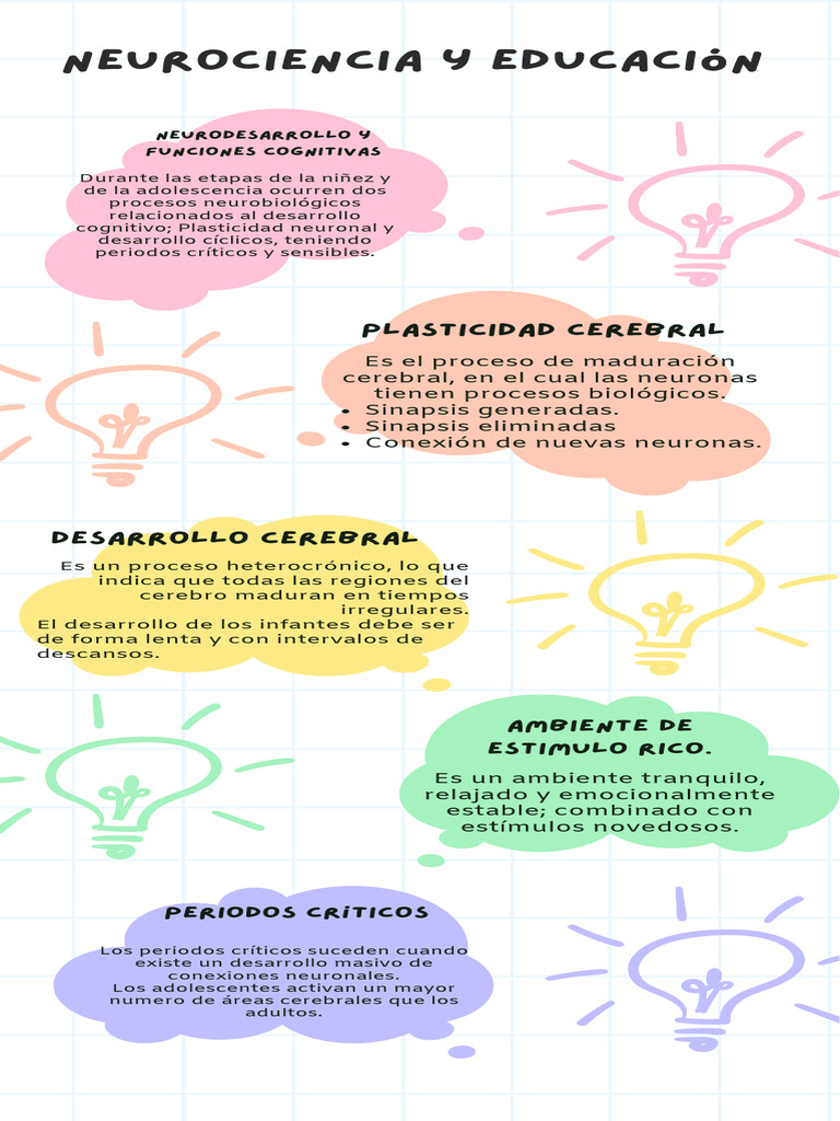 Neurodesarrollo y Funciones Cognitivas | PDF | Cerebro | Neurona