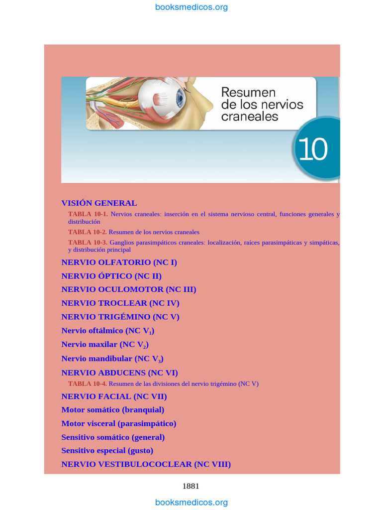 Resumen de Nervios Craneales | PDF | Anatomía | Sistema nervioso