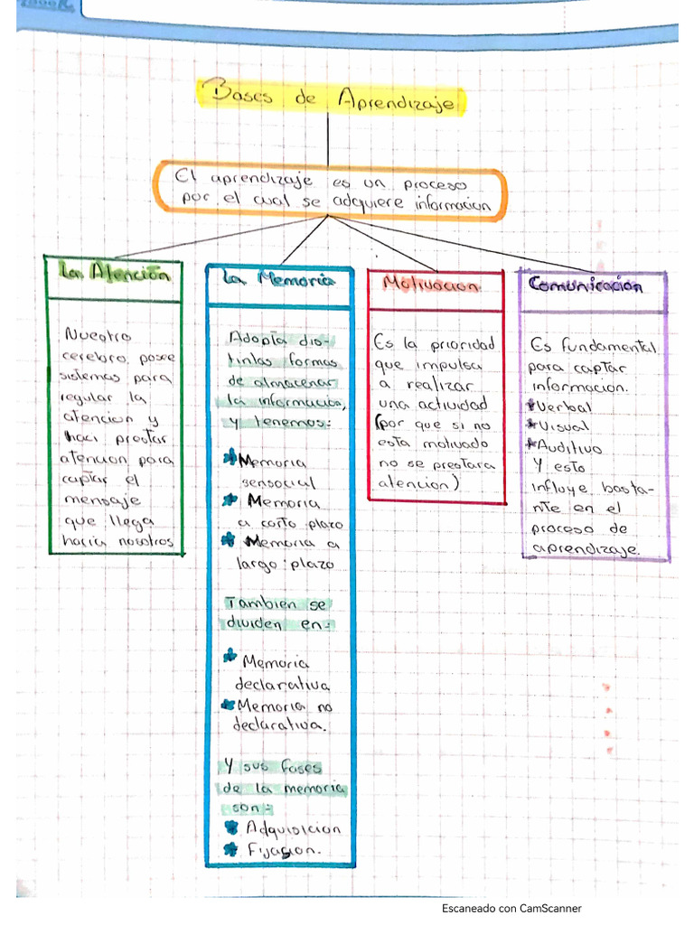 Esquema y Resumen | PDF
