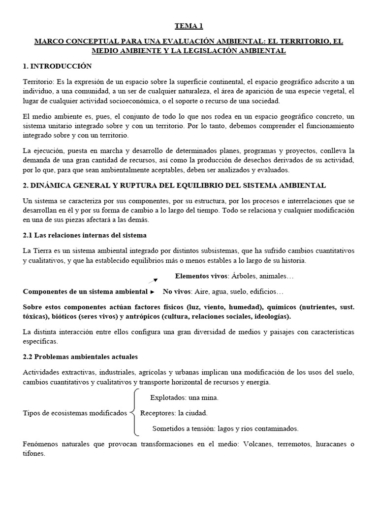 TEMA 1 Eia | PDF | Entorno natural | Contaminación