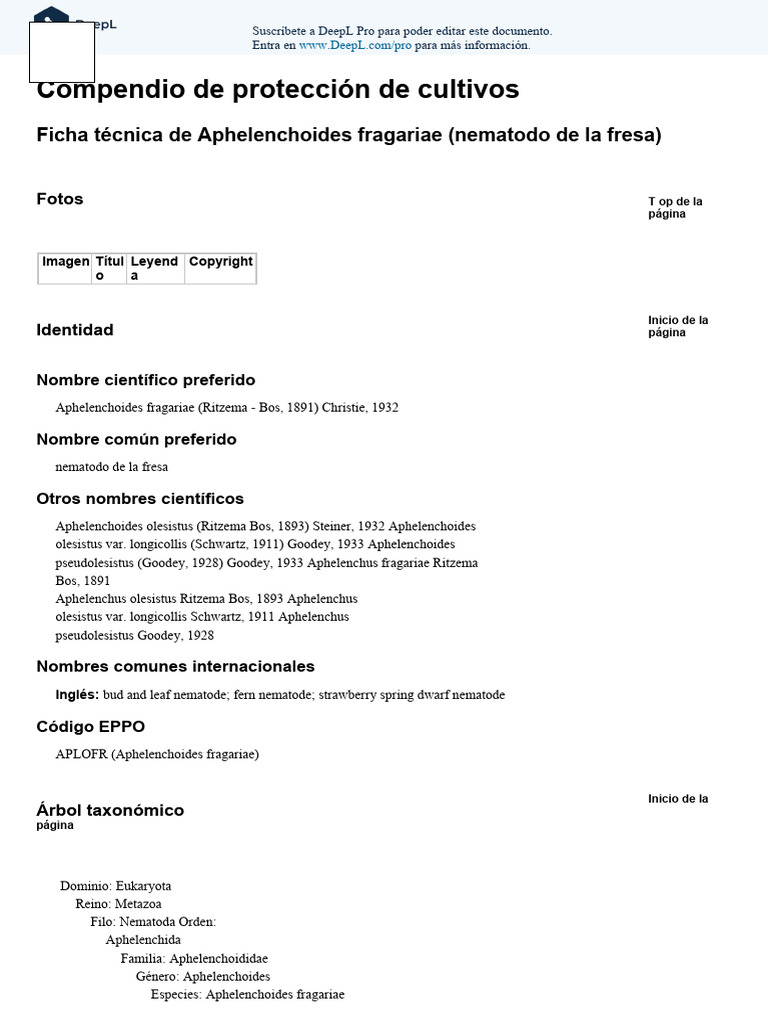 CABI Reporte | PDF