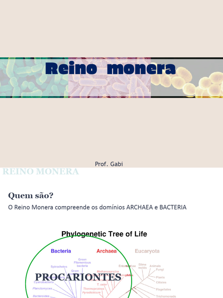 Monera | PDF