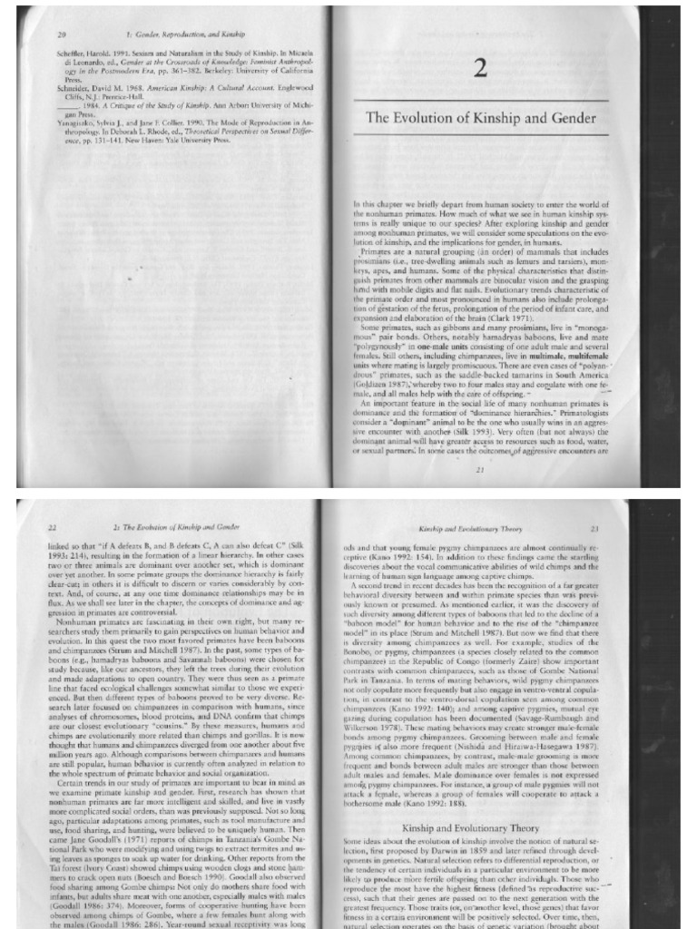 Linda Stone Chapter 2 | PDF