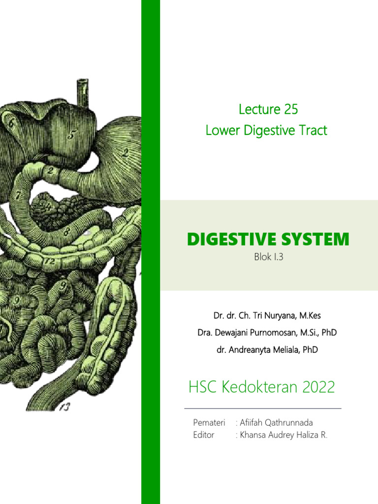 Struktur dan Fisiologi Duodenum | PDF