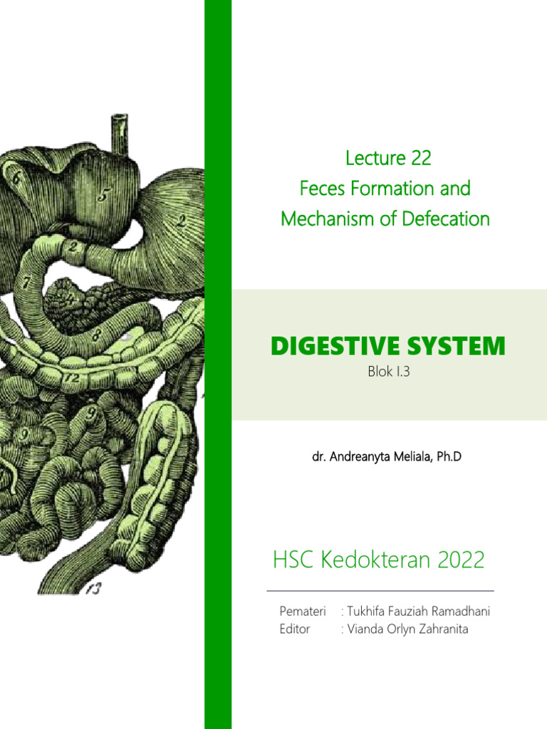 Lecture 22 - Feces Formation | PDF