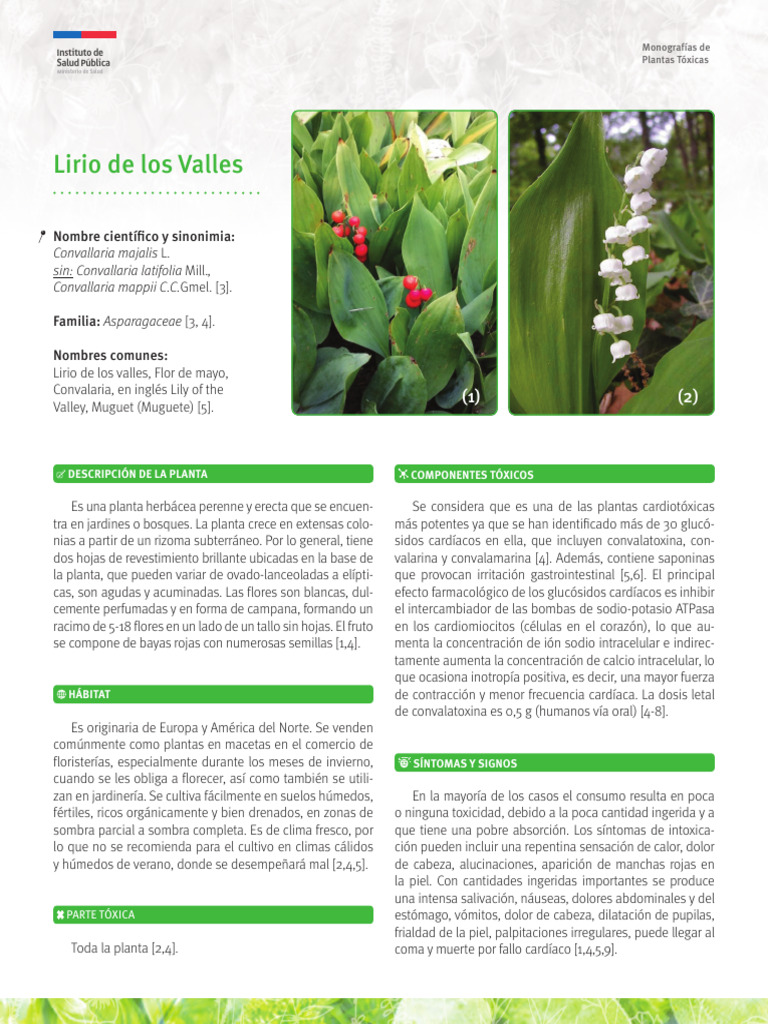 Lirios de Los Valles 16092021A | PDF | Especialidades Medicas | Medicina CLINICA