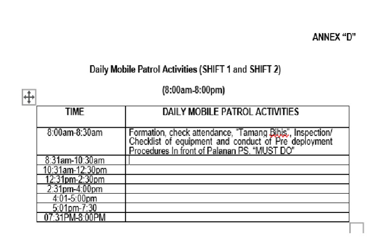 Daily Mobile Patrol Activities | PDF