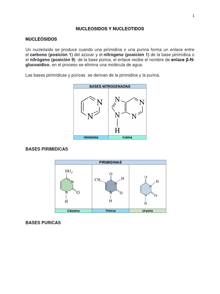 Nucleosidos y Nucleotidos | PDF | Adn | Nucleótidos