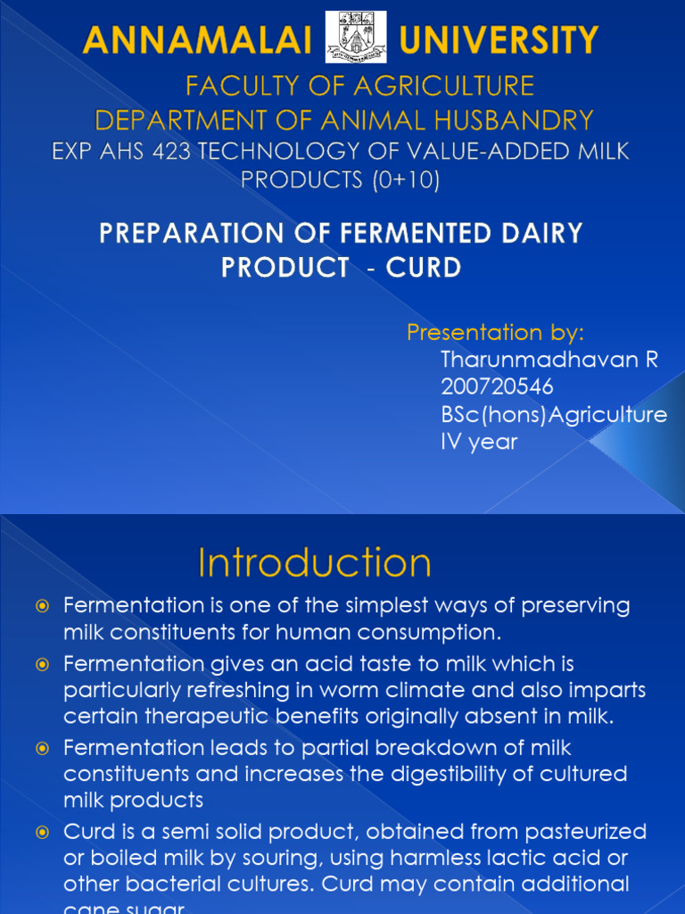 Curd Preparation | PDF | Milk | Yogurt