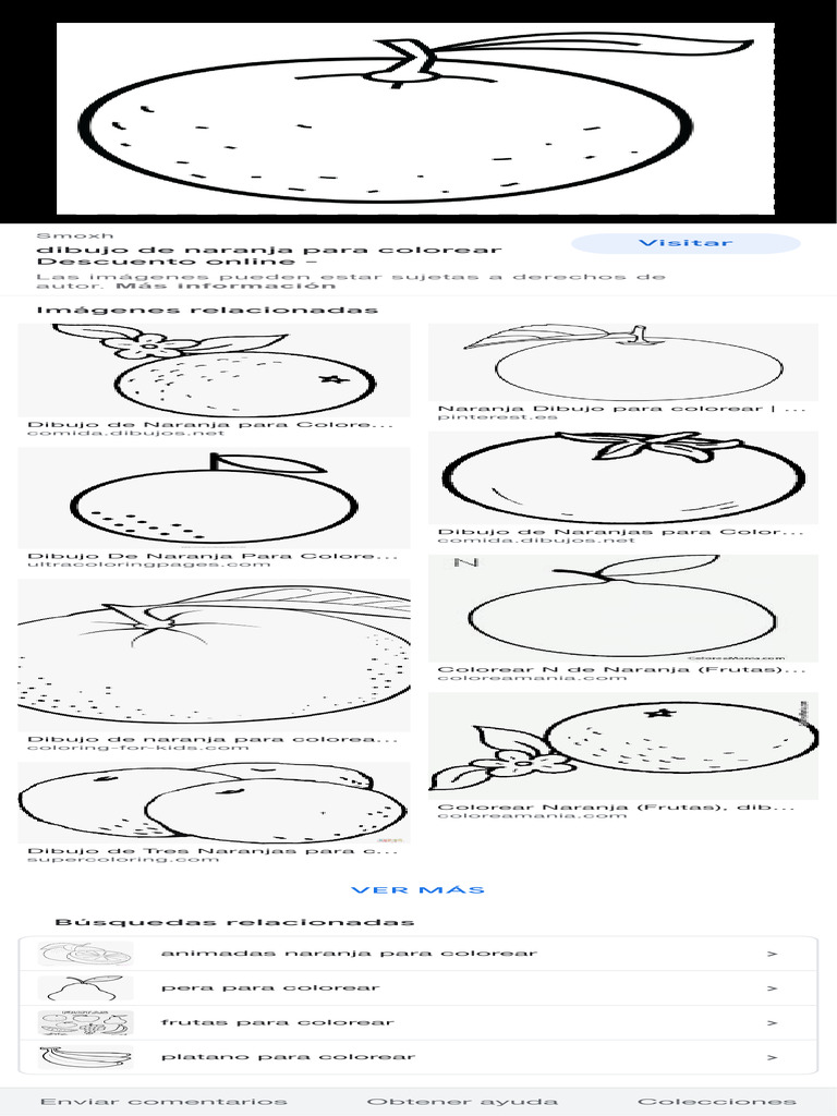 Dibujos de Naranjas para Colorear | PDF