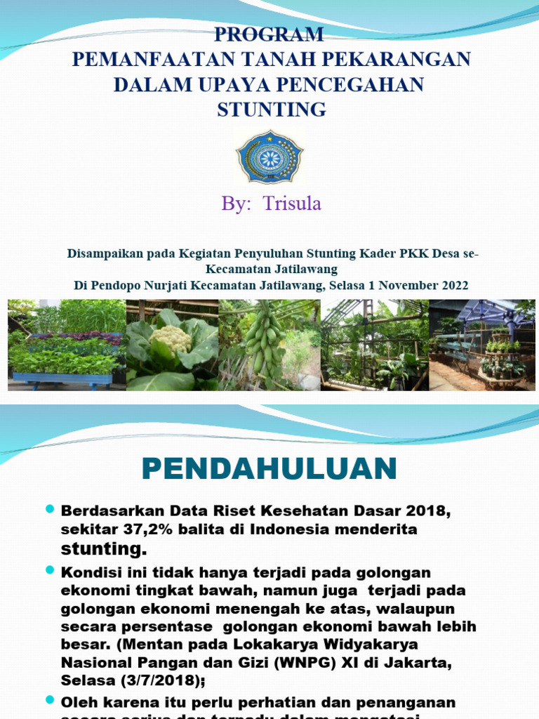 Mat. PTP Stunting Edit | PDF